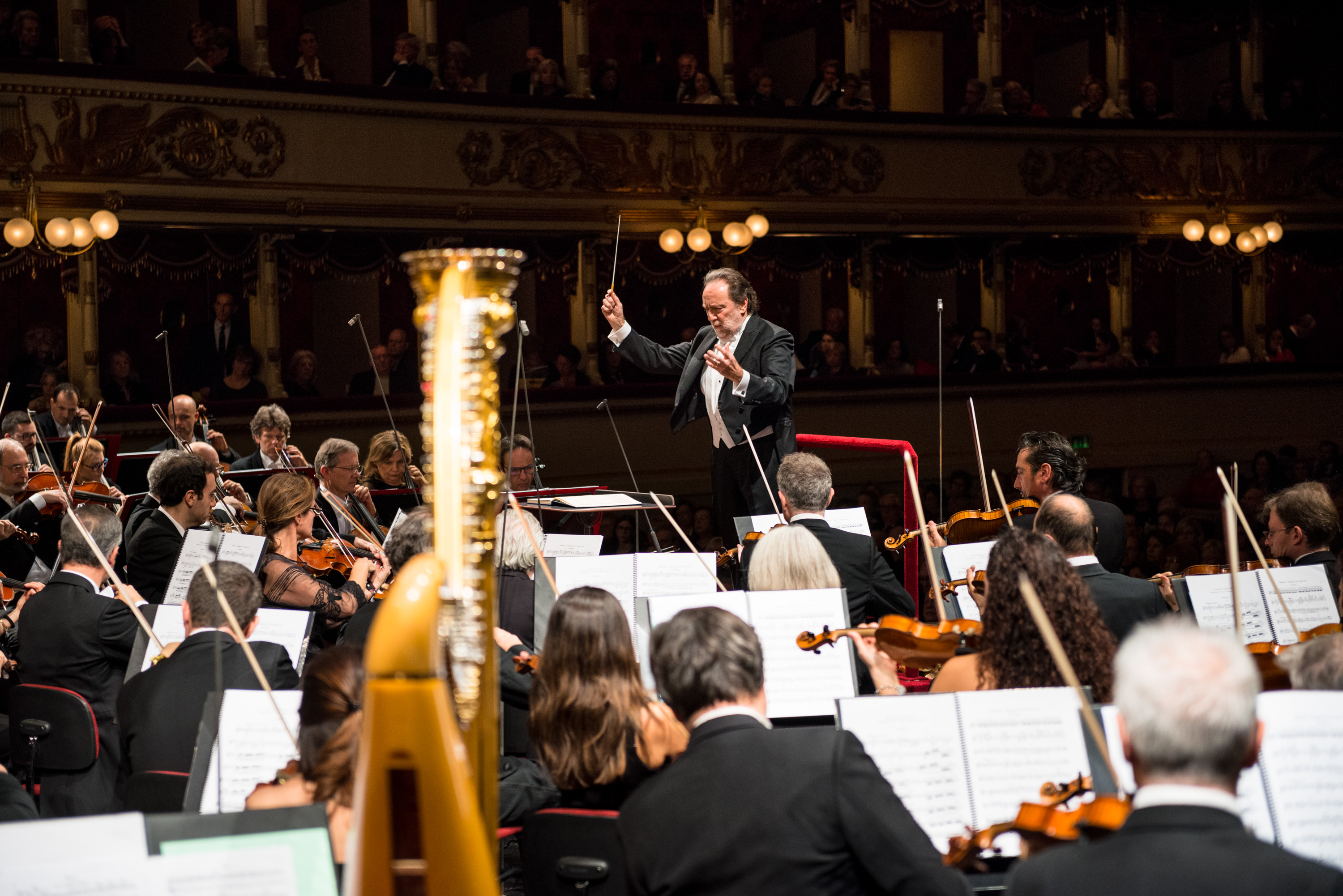 Filarmonica sulla scena per la stagione dei solisti - IlGiornale.it