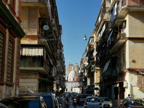 FOTO: Napoli, blatte e sporcizia alle Case Nuove - il Giornale FOTO: Napoli, blatte e sporcizia alle Case Nuove - il Giornale