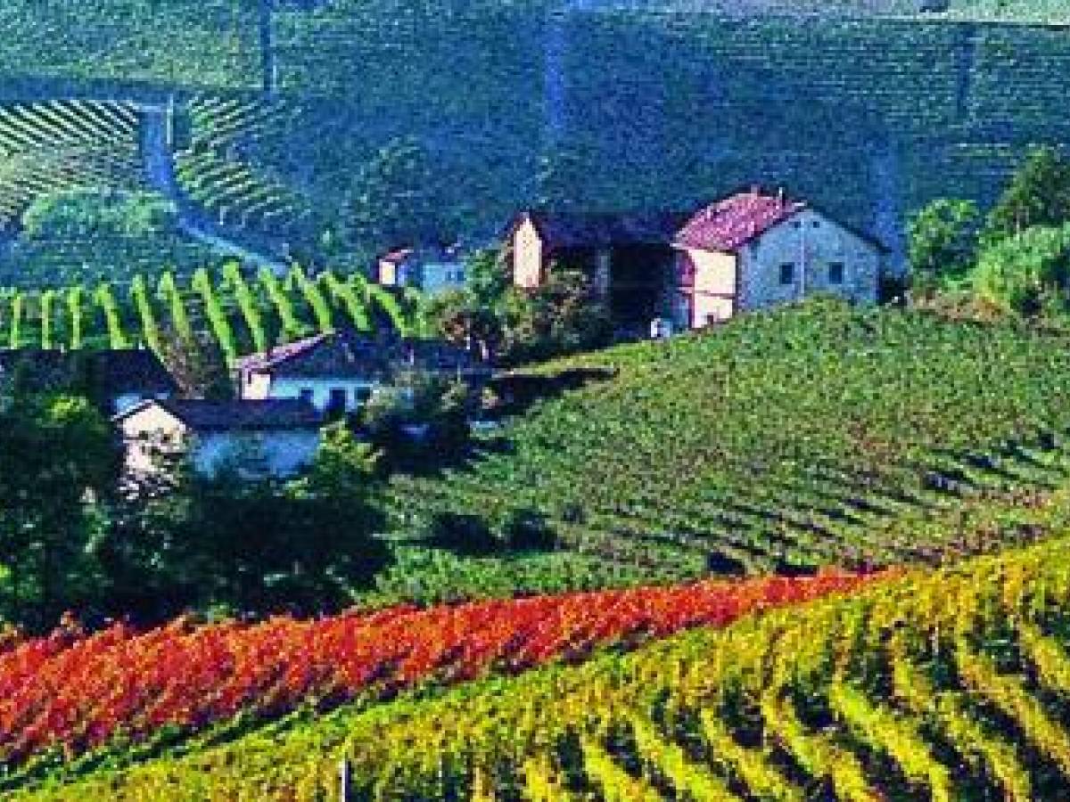 Natura intatta, offerta enogastronomica di pregio e confortevoli ...