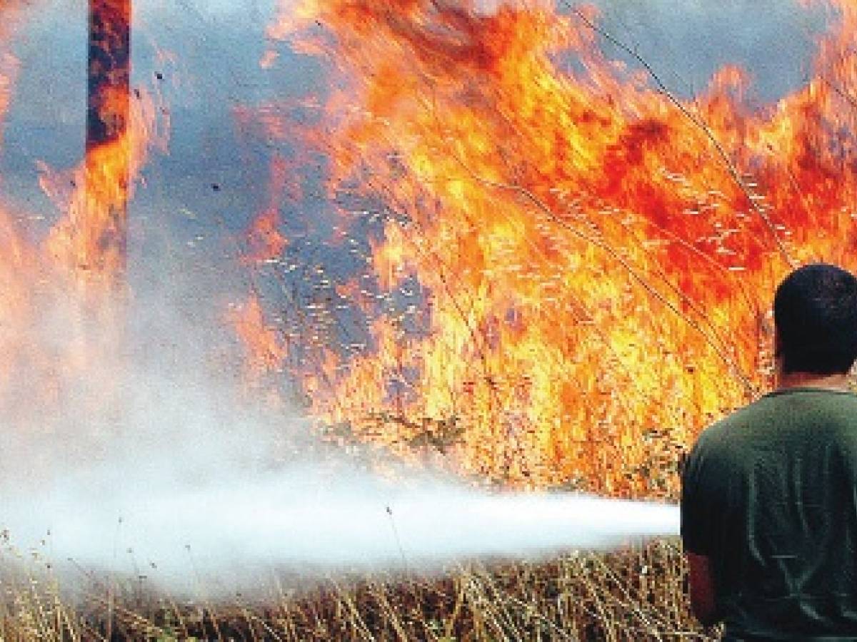 La Procura di Latina fa dietrofront. Il piromane torna dietro le sbarre ...