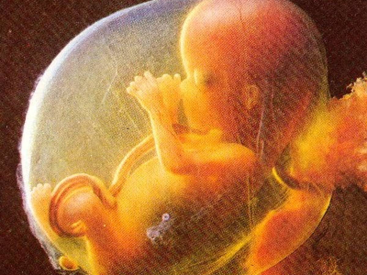 Gb, creati embrioni umani con tre genitori diversi - il Giornale
