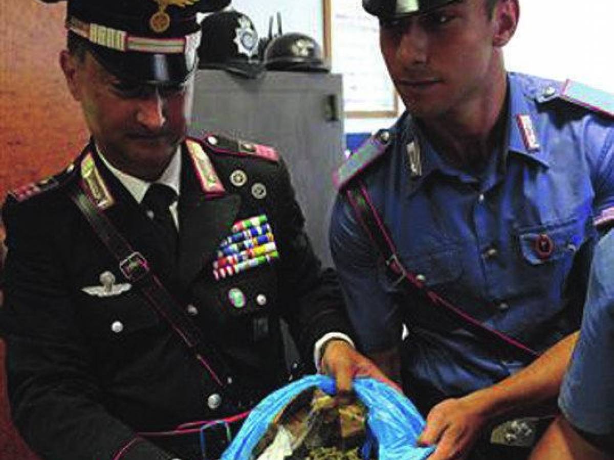 Tre pitbull messi a guardia dell’auto trasformata in centrale dello ...