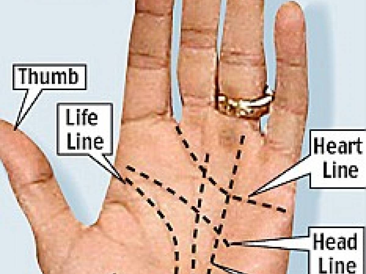 E la chiromante legge la sua mano - il Giornale