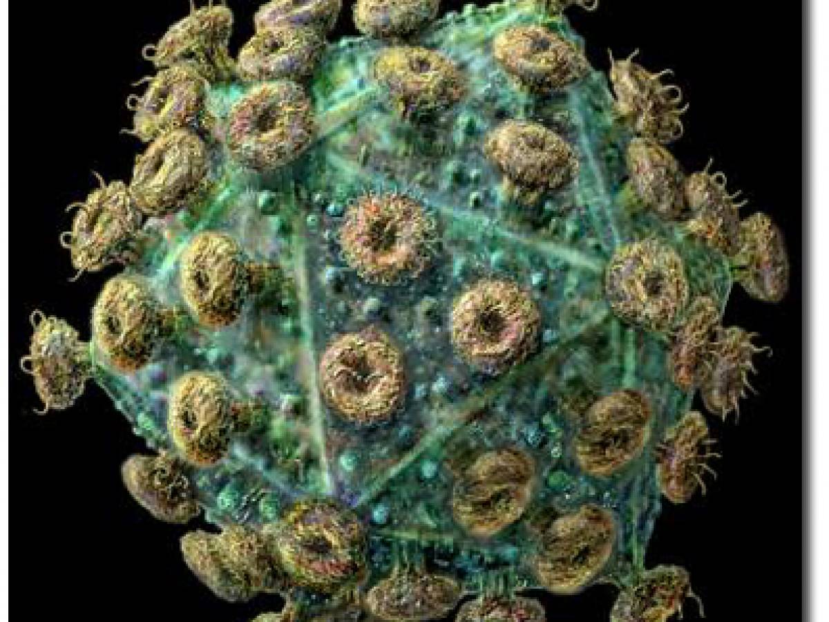 Aids, la scoperta tutta italiana: la protezione dall'hiv è nel dna - il ...