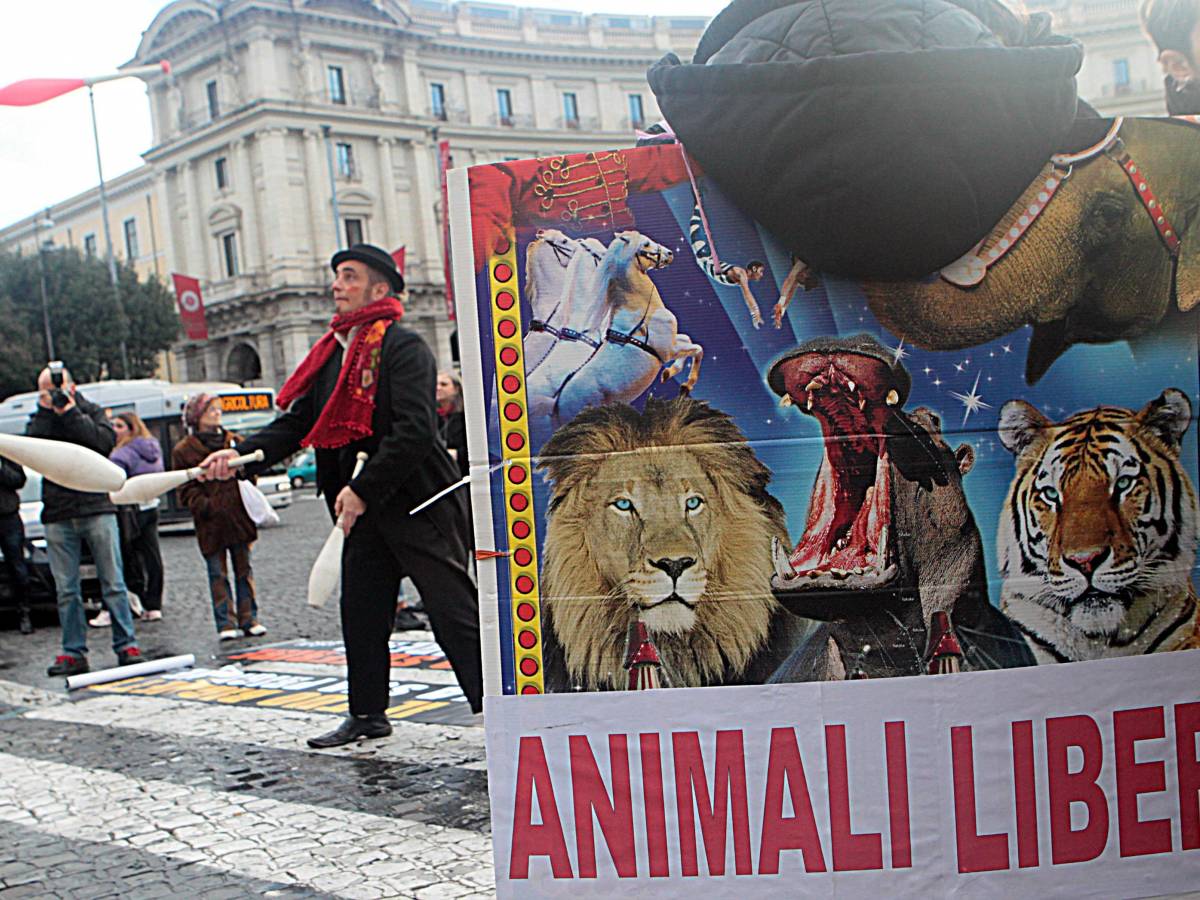 Un circo senza animali - il Giornale