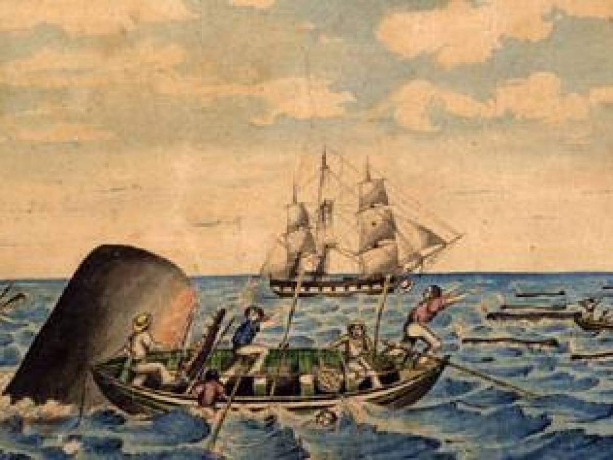 Da Giona alla Nasa Nel ventre della balena c'è il mondo intero ...