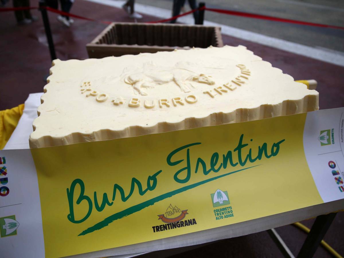 Il Trentino mette in scena il burro più grande del mondo: 100 chili ...