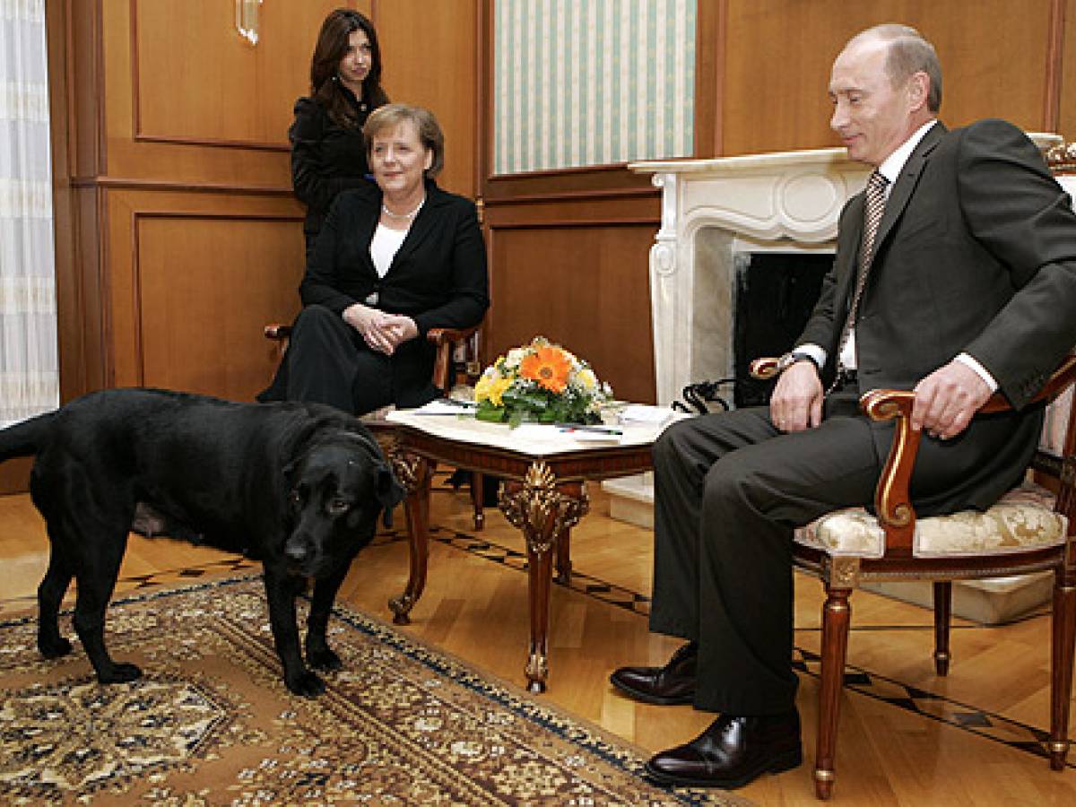 Putin: "Non volevo spaventare Merkel con il mio labrador" - il Giornale