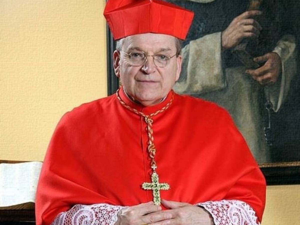 Il cardinale Burke "contro" Avvenire: la lettera che fa discutere - il ...