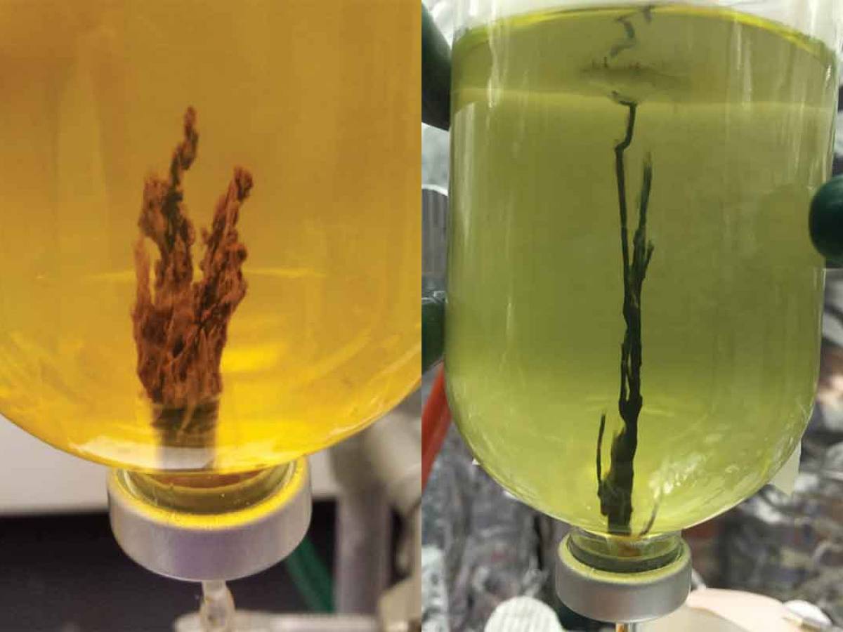 Il laboratorio che ha creato il brodo primordiale della vita - il Giornale