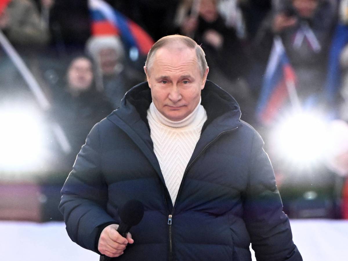 "Putin è come un pitbull", arriva il "pillolo" e Orsini: quindi, oggi ...