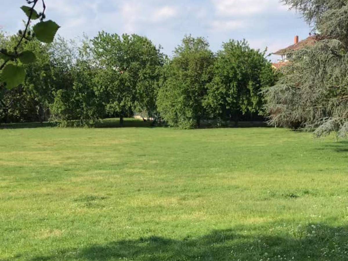 Raccolgono erbe al parco e i vigili le multano - il Giornale