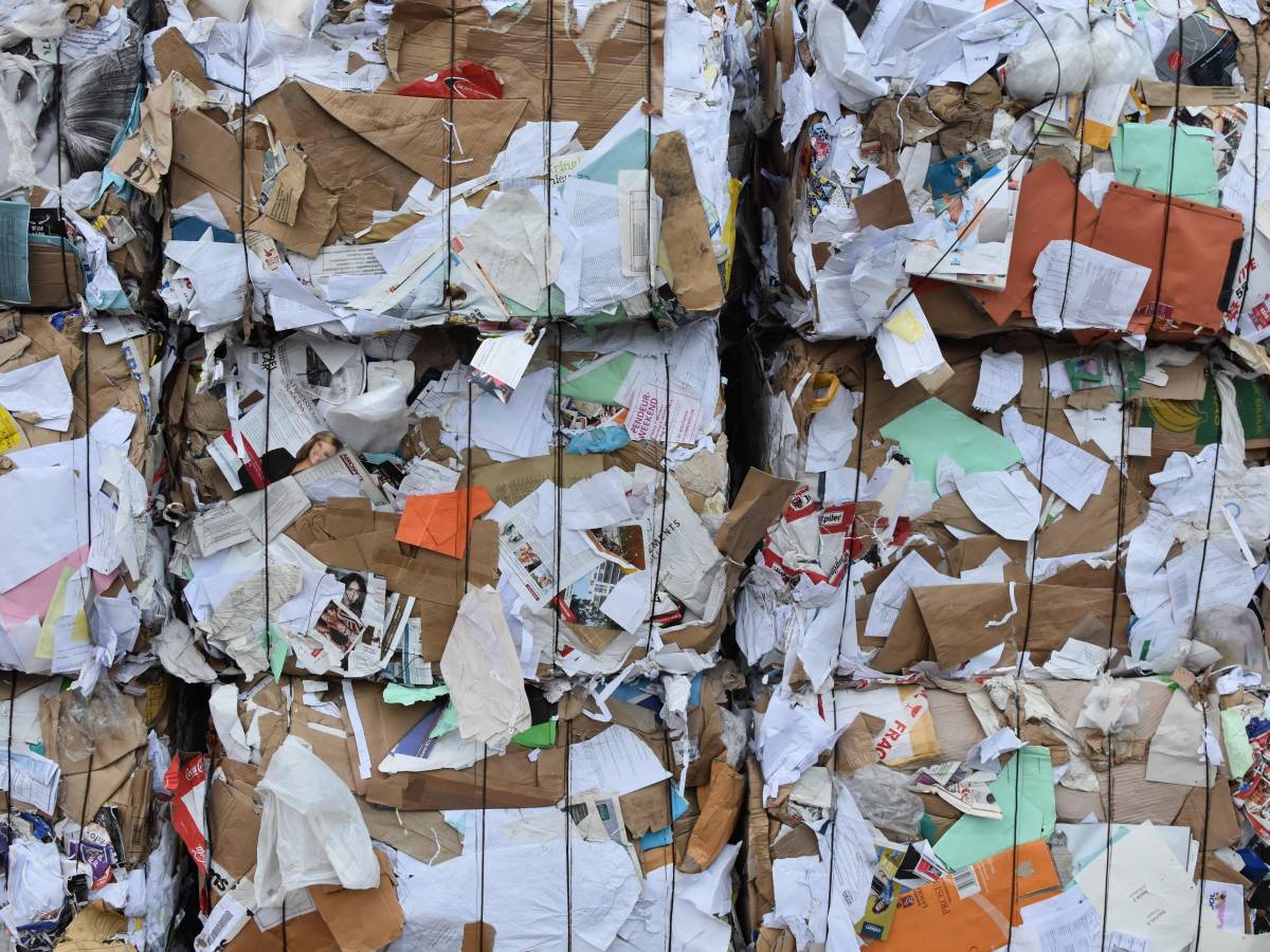 Umido e carta campioni di riciclo - il Giornale