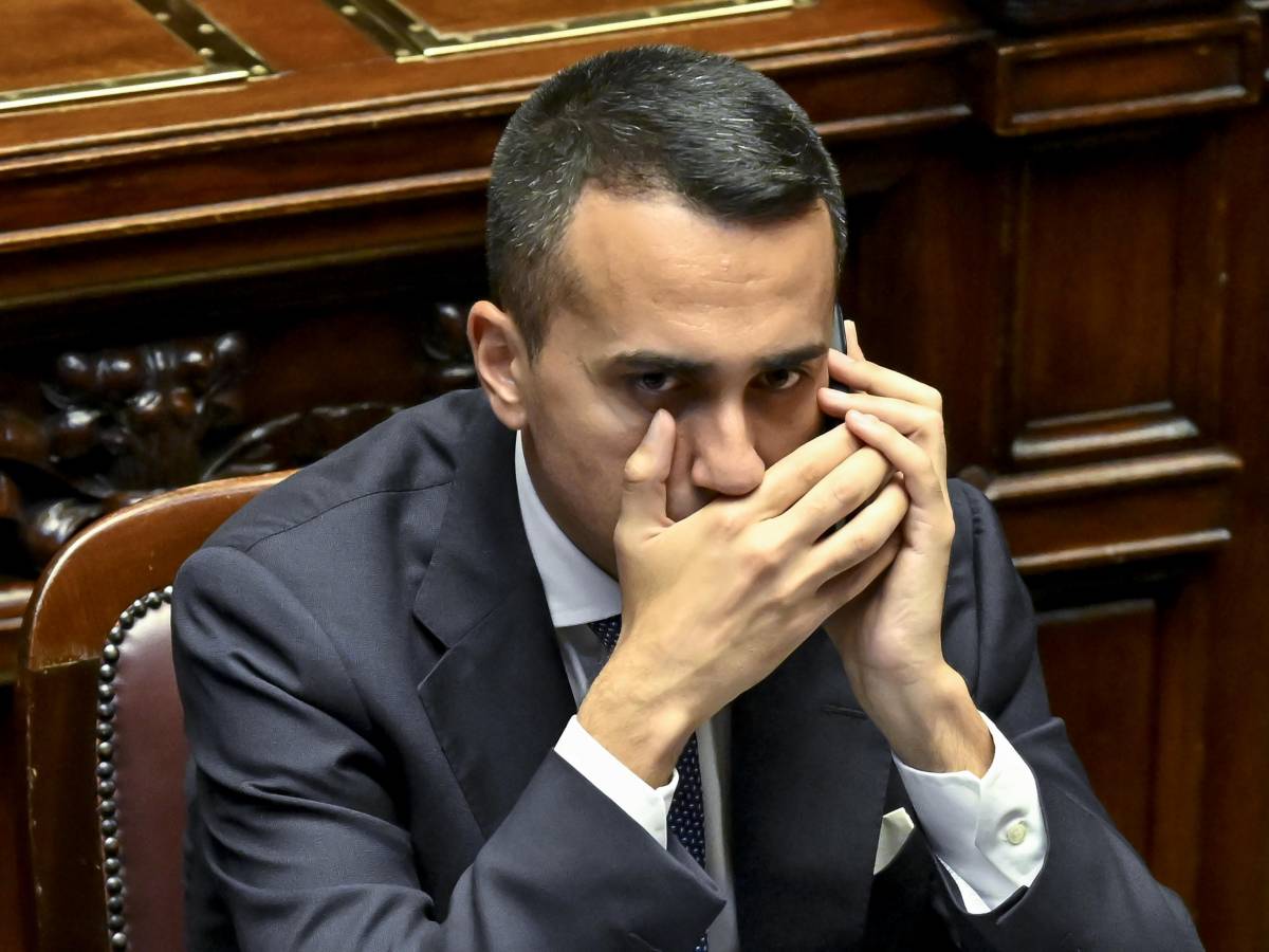 Cosa c'è (davvero) dietro allo strappo di Di Maio - il Giornale