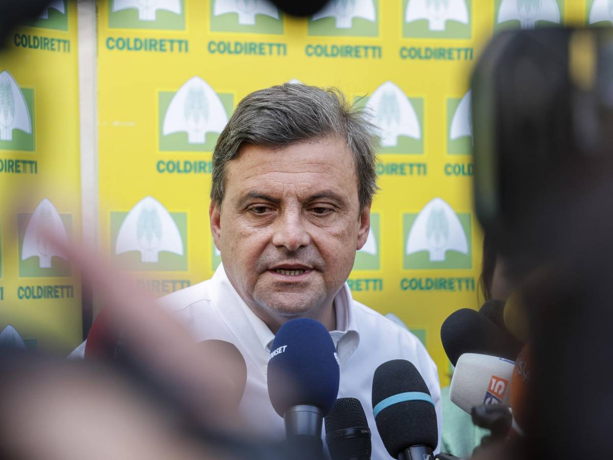 "Paura di perdere...": cosa c'è dietro lo strappo di Calenda - il Giornale