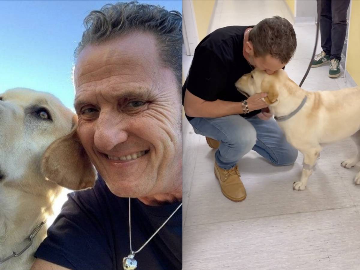 "Sta meglio". Buone notizie per il cane di Enzo Salvi: cosa era ...