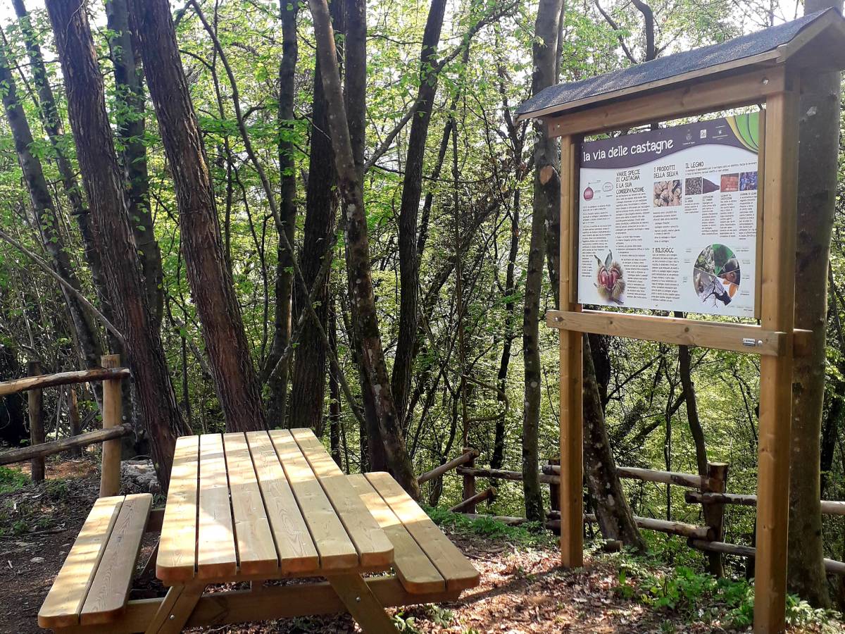 La "Via delle Castagne", un cammino tra natura e storia - il Giornale