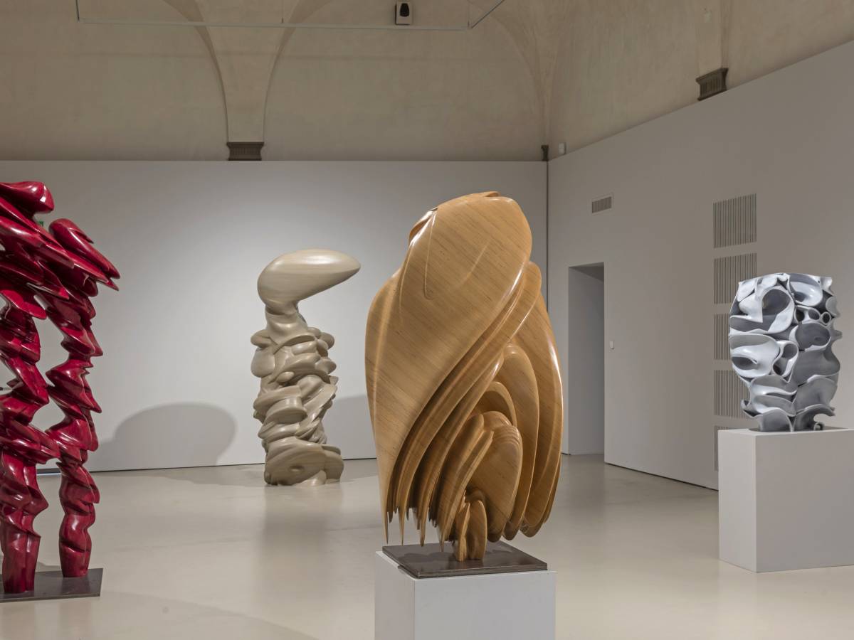 Transfer, l'inedito progetto di Tony Cragg in mostra a Firenze - il ...