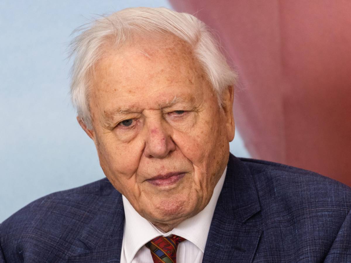 La Bbc "censura" il Piero Angela del Regno Unito. "Favore ai Tory" - il ...