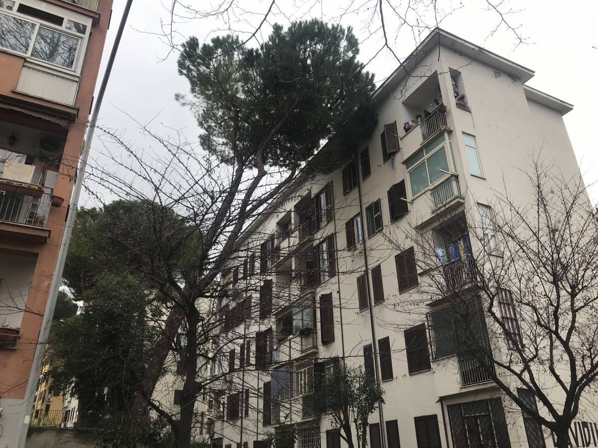 Dalle case occupate un danno al Pil di oltre un miliardo. Grandi città ...