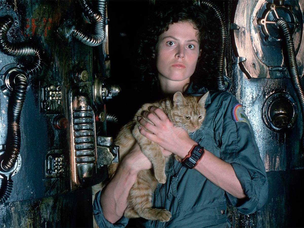 Il mito di Alien torna al cinema: l’horror che è diventato un cult - il ...