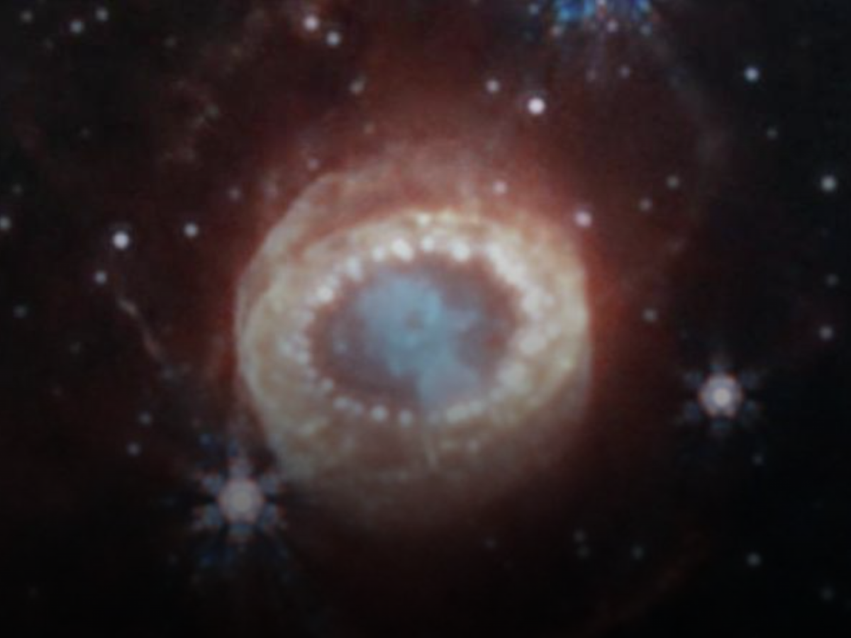Supernova sn1987A mai così vicina: scoperti i misteri dello spazio - il ...