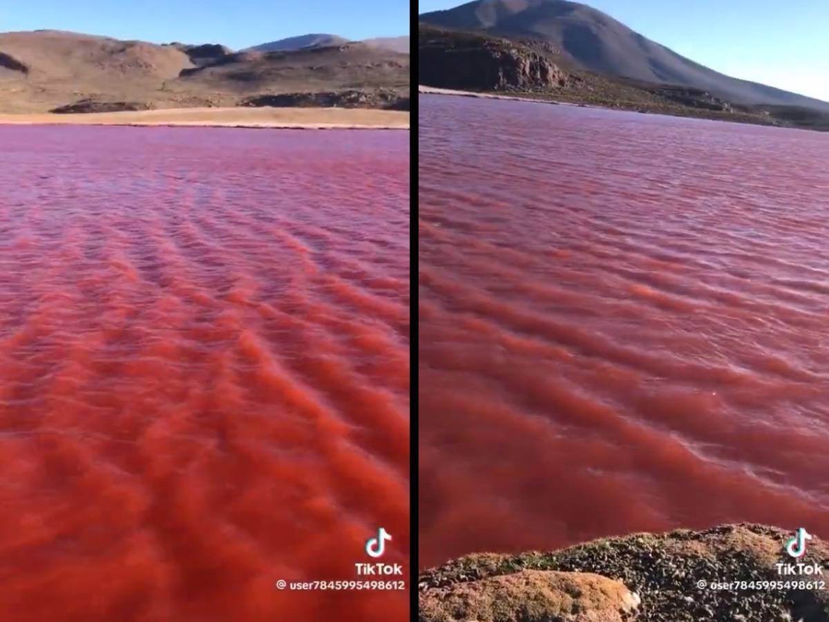 Il Nilo si tinge di rosso: profezia apocalittica o fenomeno naturale ...