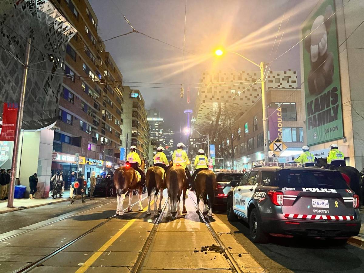 Toronto, protesta pro Palestina: Meloni e Trudeau annullano il gala. E ...