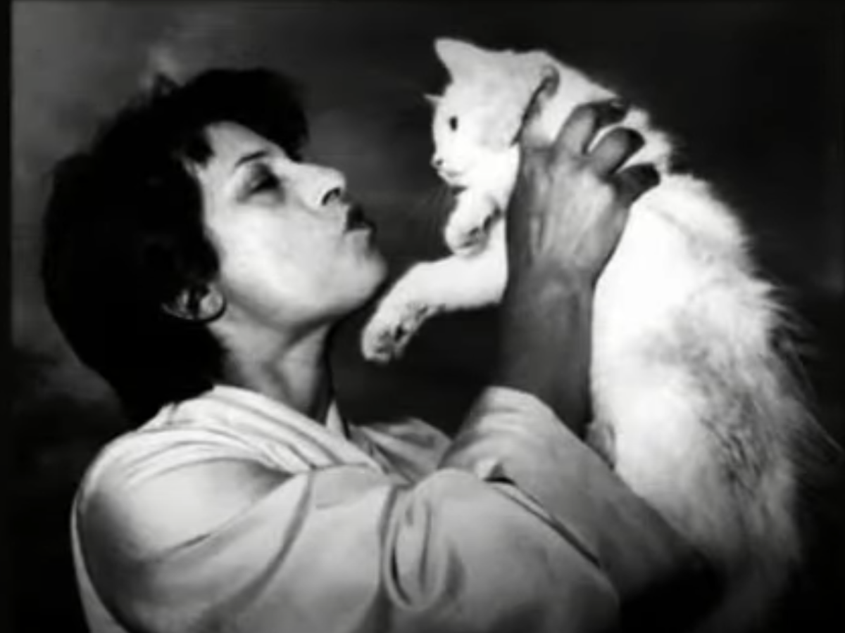 Anna Magnani, la più grande "gattara" di Roma - il Giornale