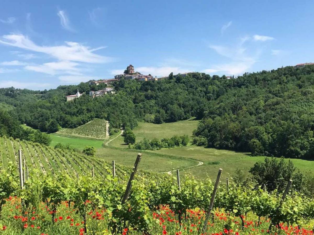 Vicara, il Monferrato rock - il Giornale