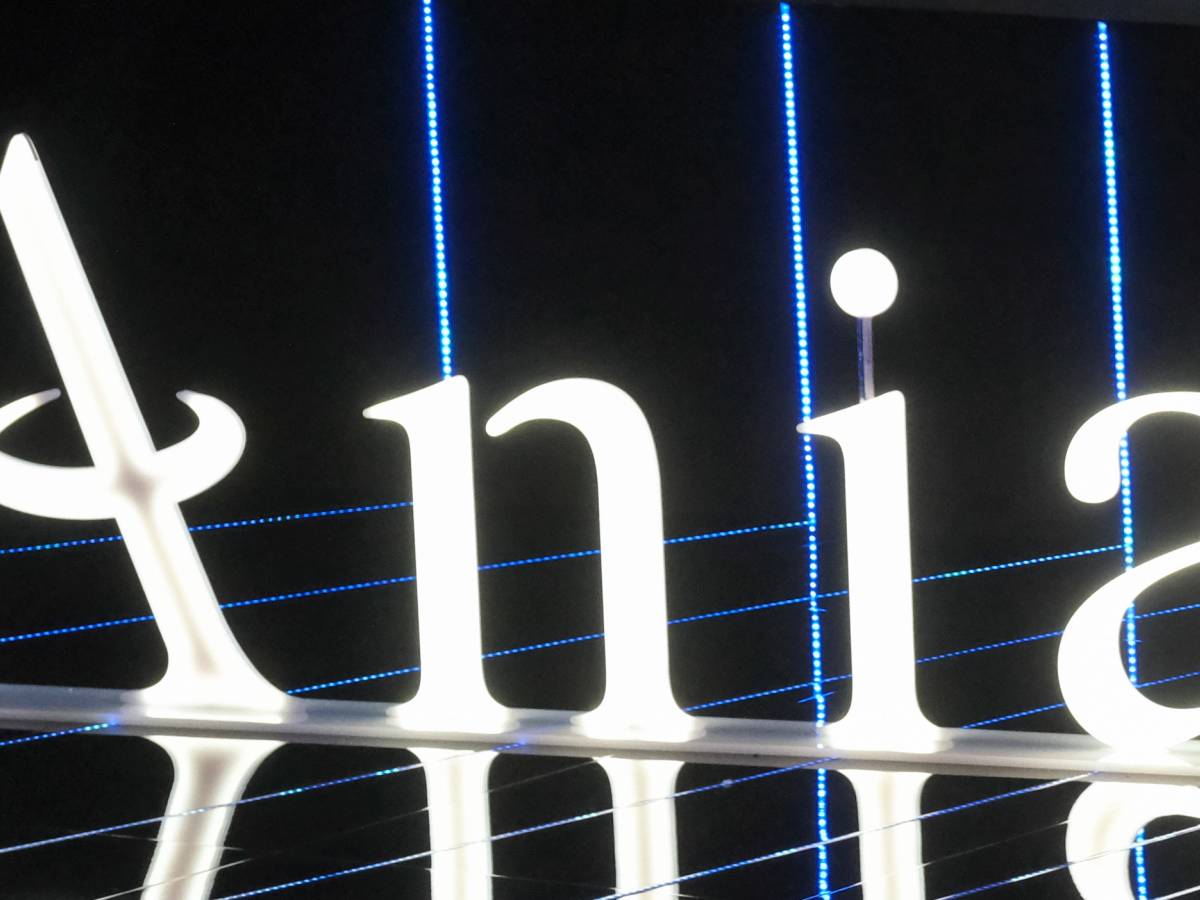 Ania, l'assemblea slitta al 19 dicembre. È giallo sui giochi per la ...
