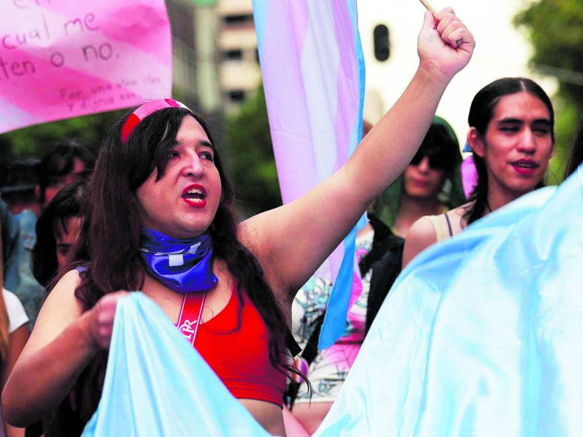 I trans non sono donne - il Giornale