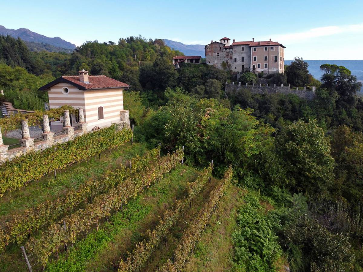 Erbaluce di Caluso, la luce dell’alba - il Giornale