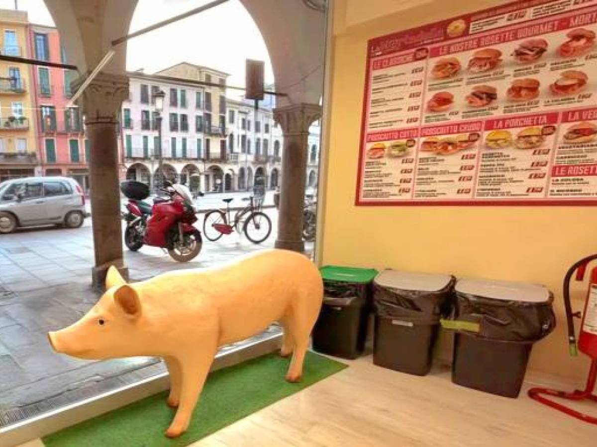 Padova, polemica sul maiale in vetrina: la comunità islamica chiede la ...