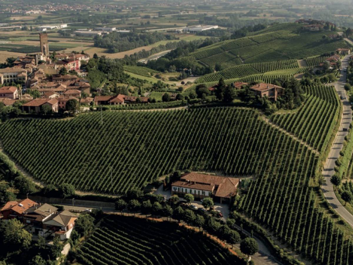 Damagi, il Cabernet Sauvignon alla piemontese - il Giornale