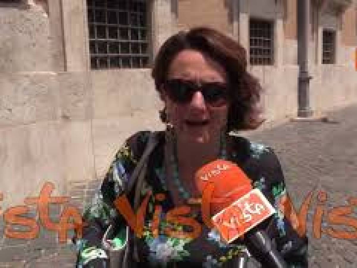 VIDEO: Bonetti (IV): "Governo dovrebbe assumersi responsabilità voto su ...