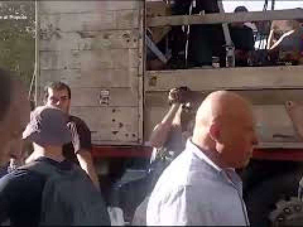 VIDEO: "Palestina libera, ora e sempre resistenza", i cori alla ...