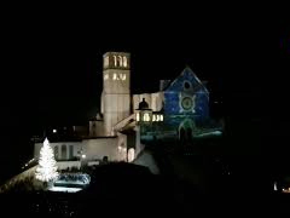 Video Laccensione Dellalbero Di Natale Di Assisi Il Giornale