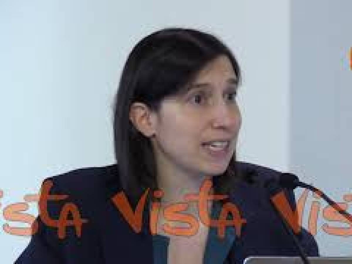 VIDEO: Proteste agricoltori, Schlein: "Meloni dà tutta la colpa all ...