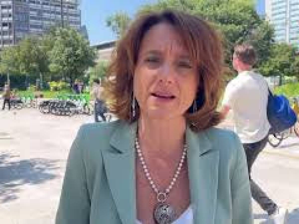 VIDEO: Bonetti (Azione): "Aver fatto scadere Family Act significa ...