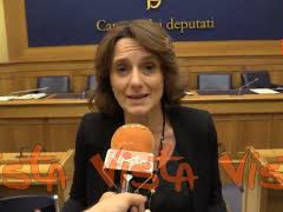 VIDEO: Europee, Bonetti (Azione): "L'Europa è l'unico destino possibile ...
