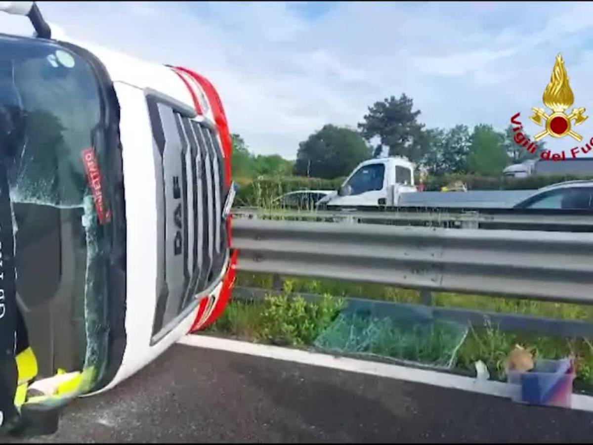VIDEO: Camion con bestiame si ribalta sulla A4: bovini morti e strada ...