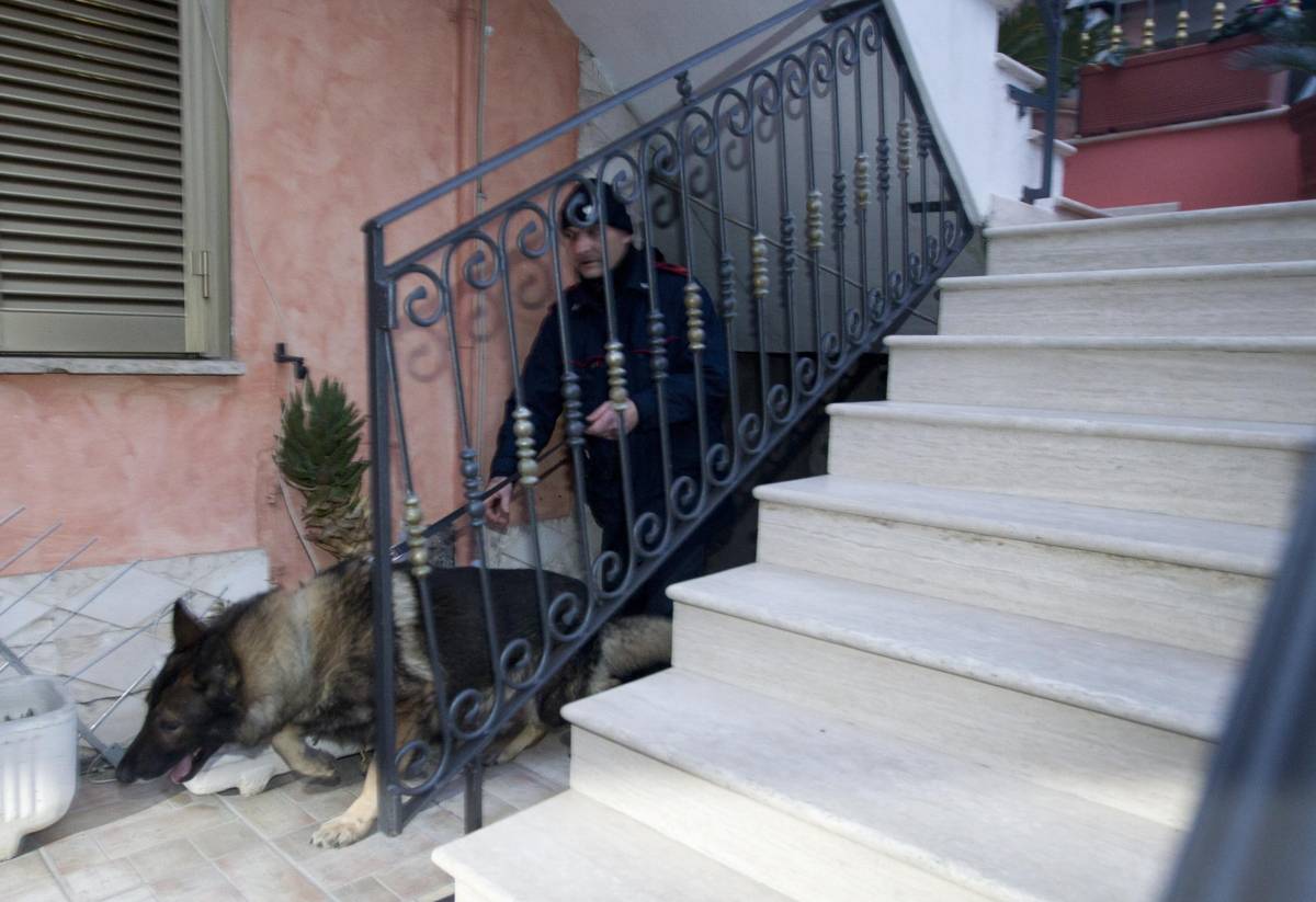 Un maxi blitz a Roma: sgominati i check point per spacciare la droga ... Un maxi blitz a Roma: sgominati i check point per spacciare la droga ...
